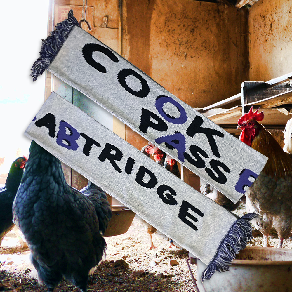 Cook Pass Babtridge scarf – accidentalpartridge